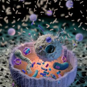 BioloGPT Unveils Revolutionary Biology Knowledge Engine - AFV NEWS